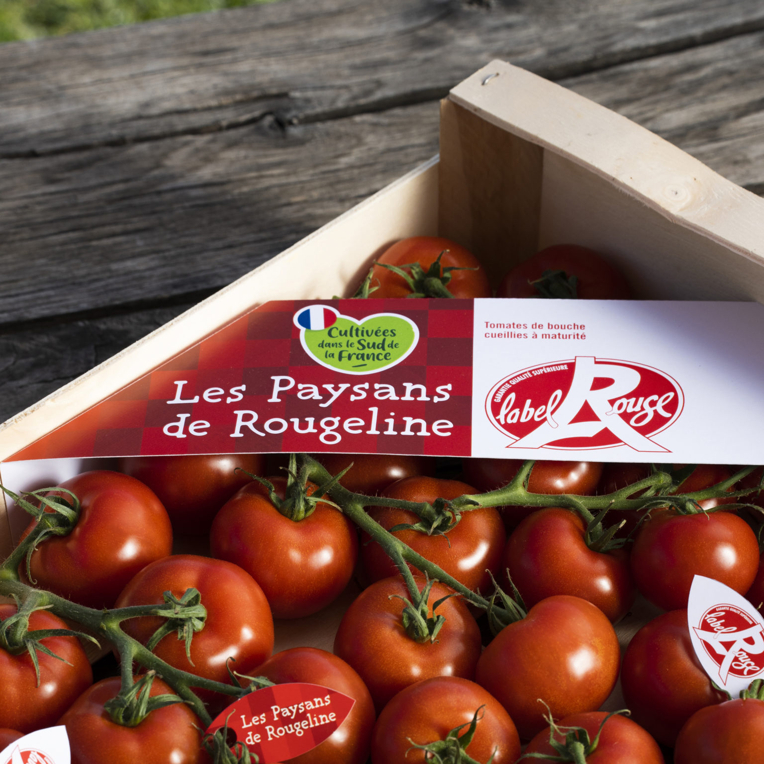 Enfin une tomate Label Rouge ! - Made in mouse®